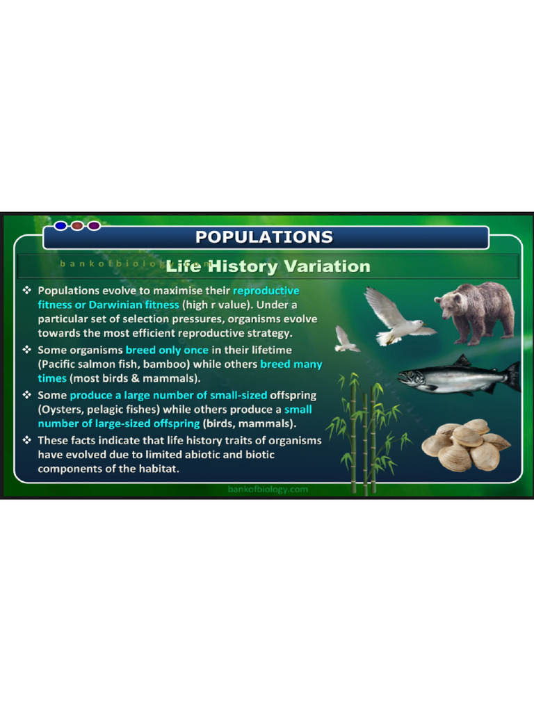 Biology (Seminar | PDF