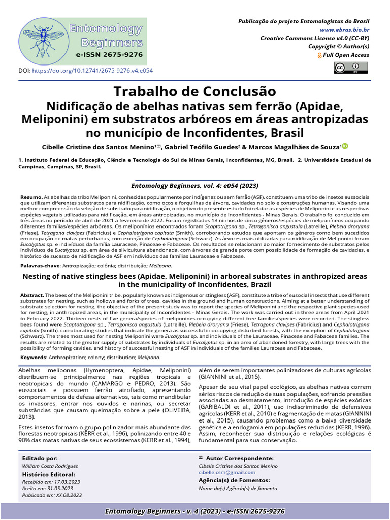 54-Texto Do Artigo-613-781-10-20230801 | PDF