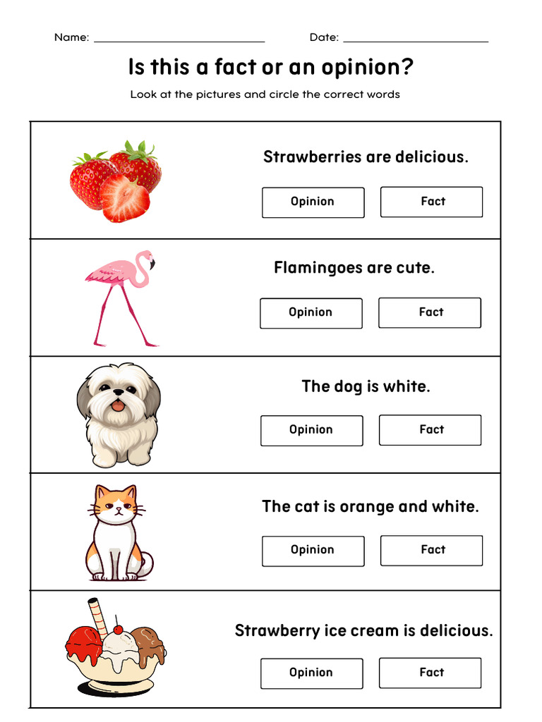 Statements and Questions Worksheets | PDF