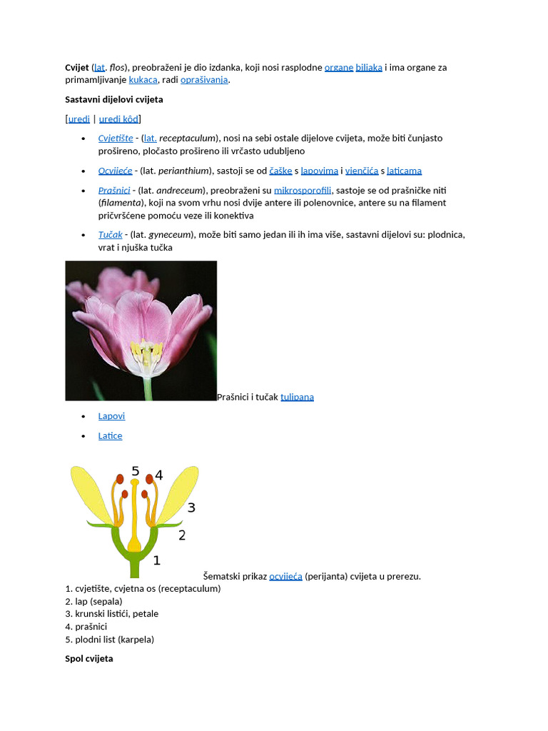 Vrste Cvijeća | PDF