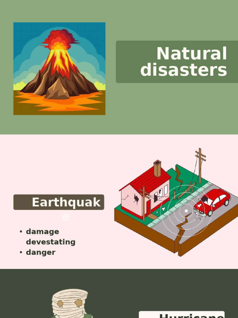 Natural Disaster | PDF