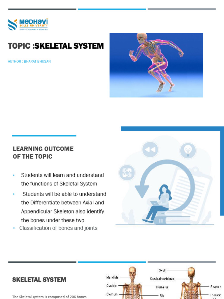 Skeletal System | PDF