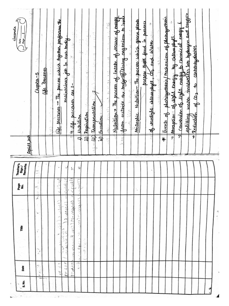 10th Biology Chapter 1 Life Processes | PDF