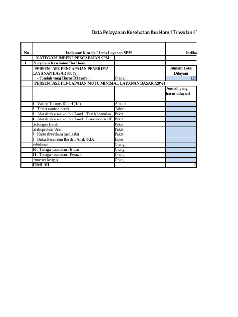 Data Pelayanan Kesehatan Ibu Hamil | PDF