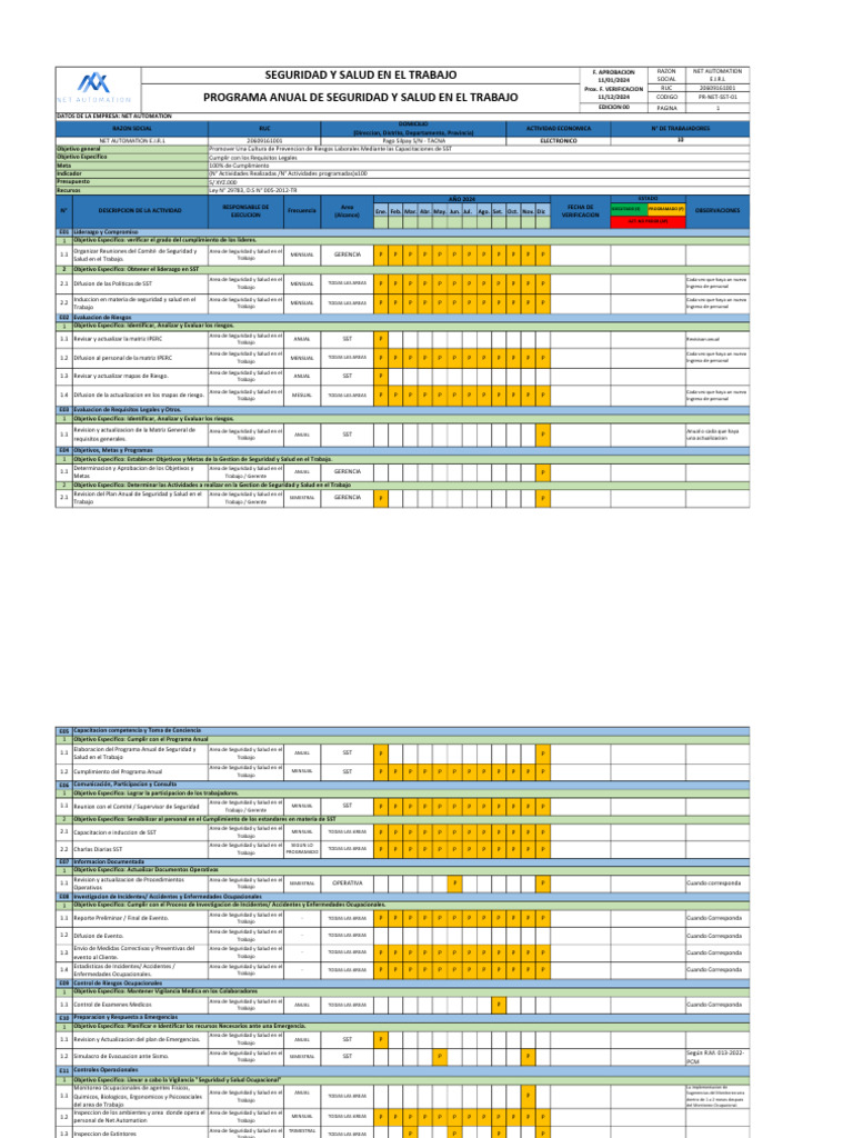 Pro-Net-Sst-01 Programa Anual de Seguridad y Salud en El Trabajo | PDF
