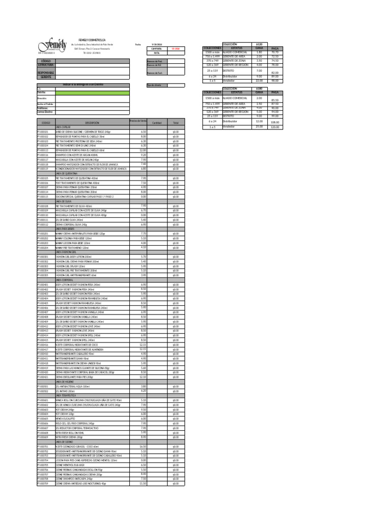 Formato de Pedido 5C-2024 FV | PDF