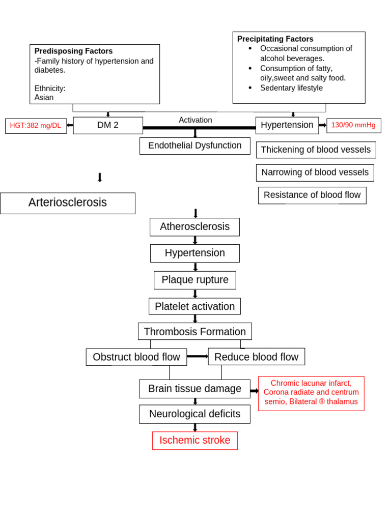 CVA Patho Revised | PDF