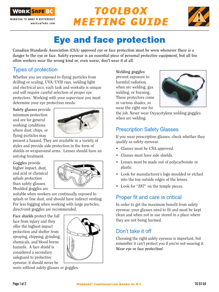 Tg07-49eye and Face Protection-Pdf-En | PDF