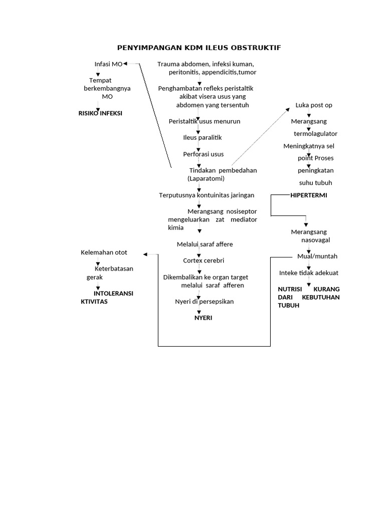 Penyimpangan KDM Ileus Obstruktif | PDF