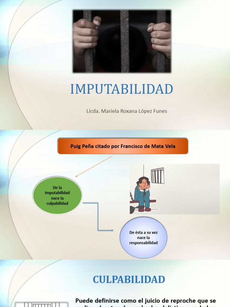 IMPUTABILIDAD | PDF