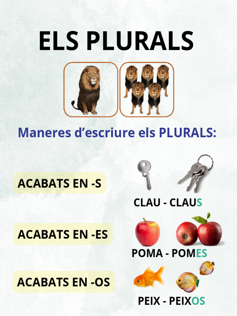 ORTOGRAFIA | PDF
