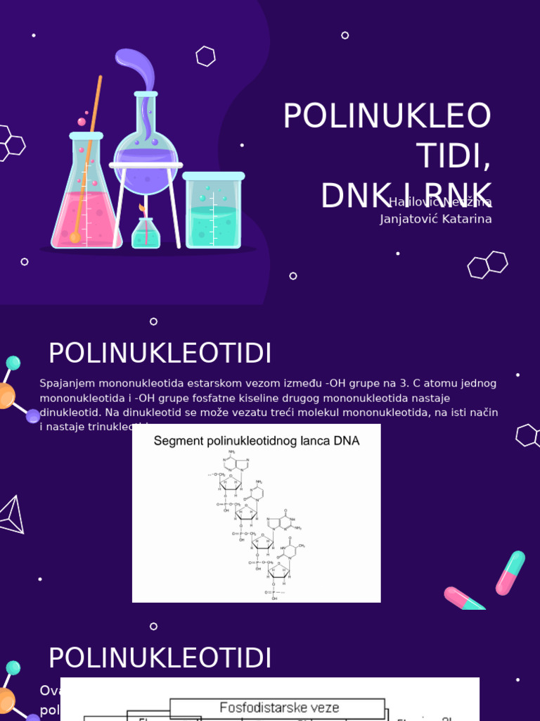 DNK RNK | PDF
