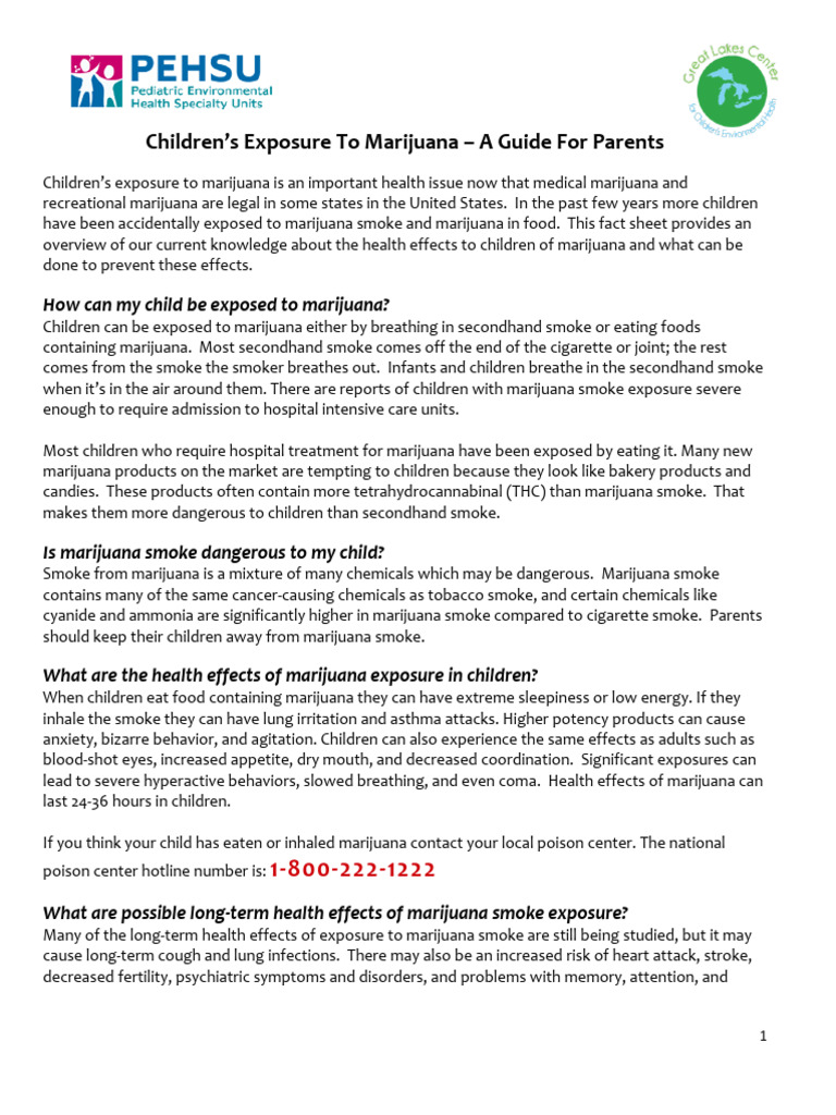 Marijuana Fact Sheet For Kids | PDF