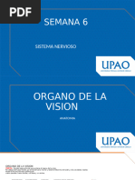 Alcon Acrysof Iol Product Catalog | PDF | Visual System | Optics