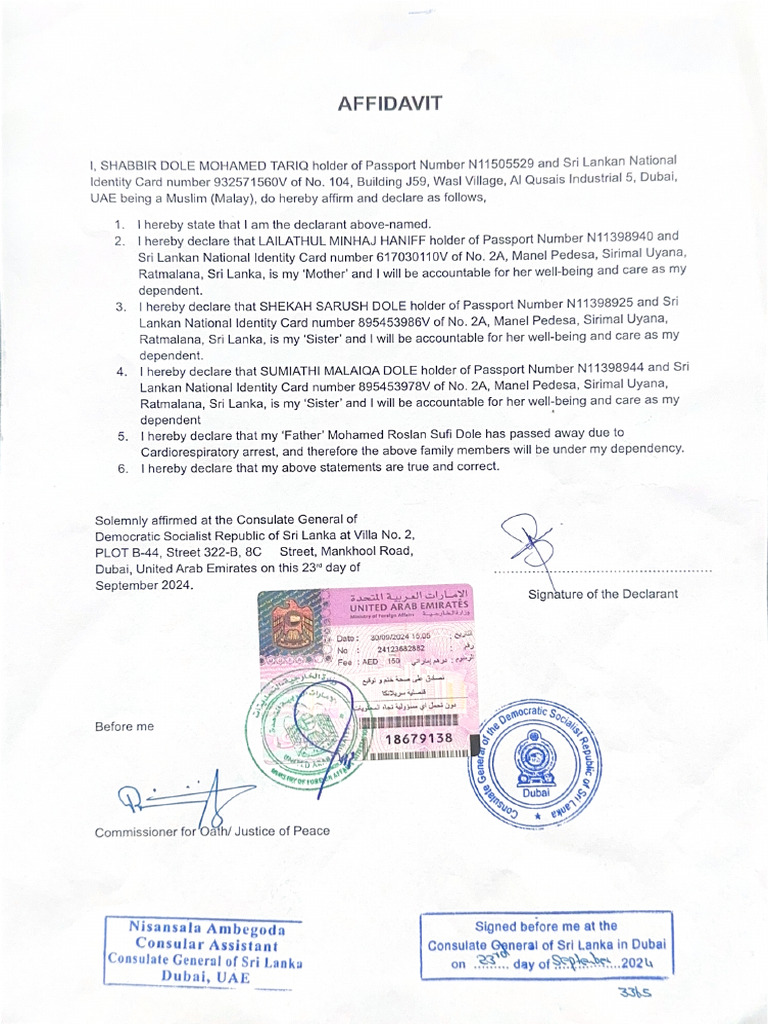 AFFIDAVIT | PDF