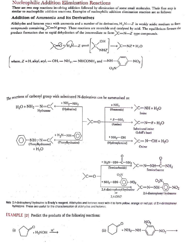 Nucleophilic Addition With Elimination | PDF