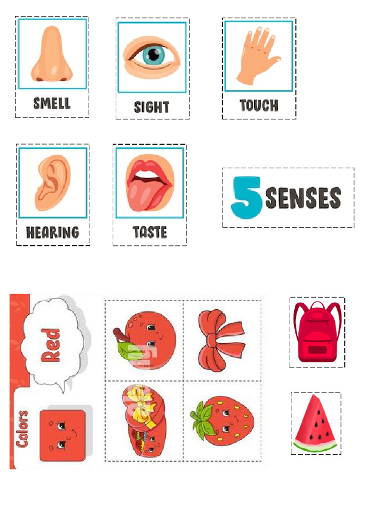 5 Sentidos | PDF