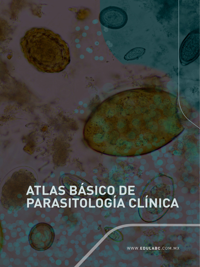 Atlas+basico+de+parasitología+clñinica | PDF