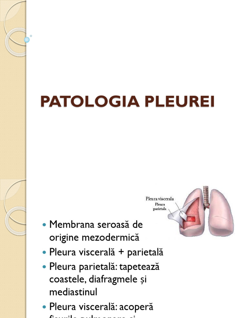 LP 5.2 Patologie Pleurala | PDF