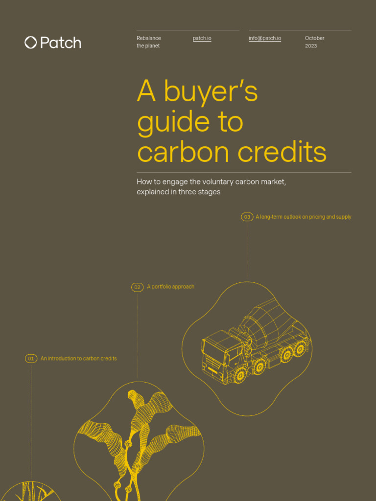 Patch Buyers Guide 04 | PDF