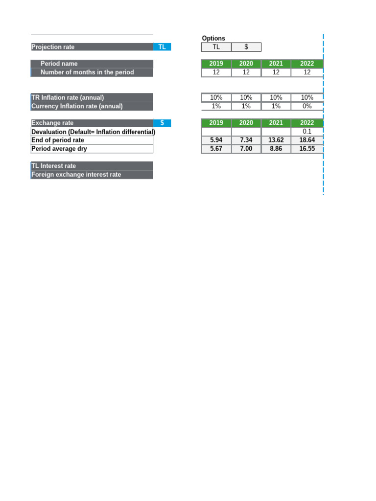 Valuation Template | PDF