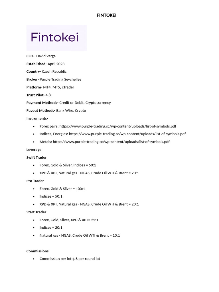 FINTOKEI | PDF