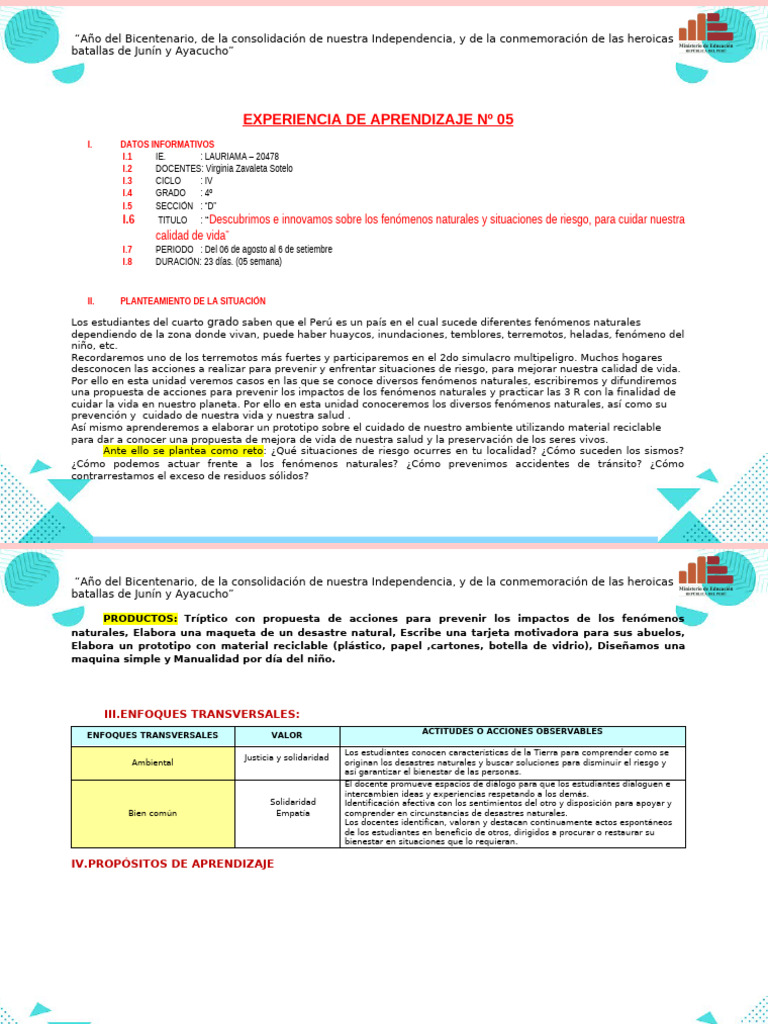 Experiencia de Aprendizaje N°5 - Agosto | PDF