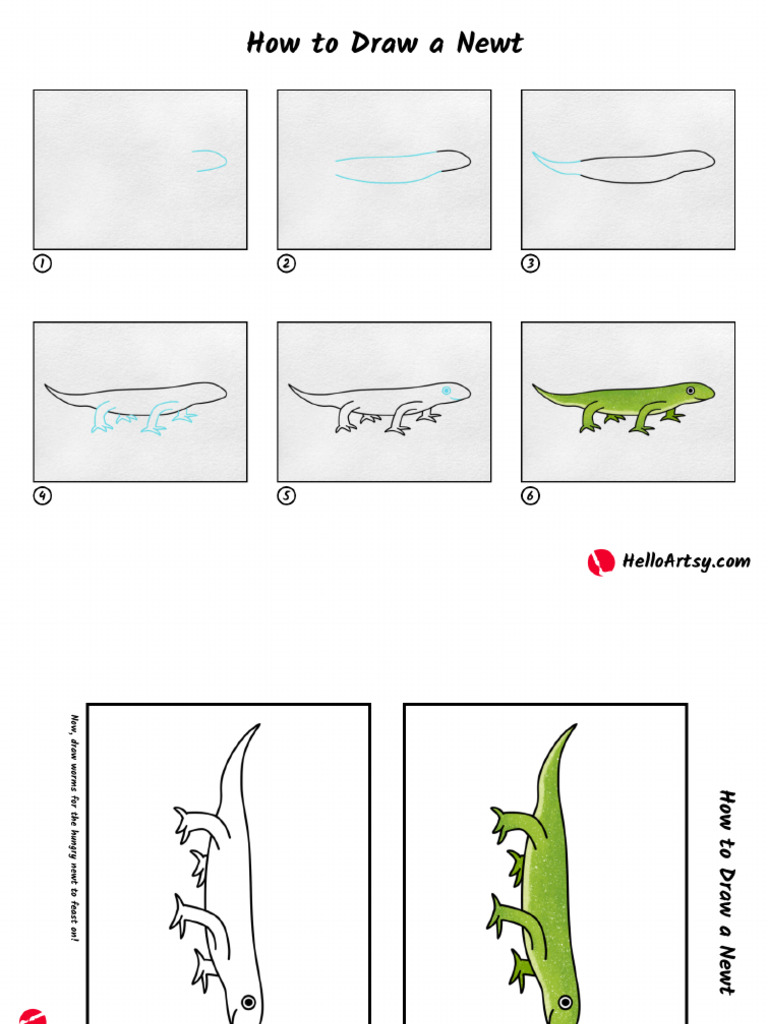 HelloArtsy - How To Draw A Newt | PDF