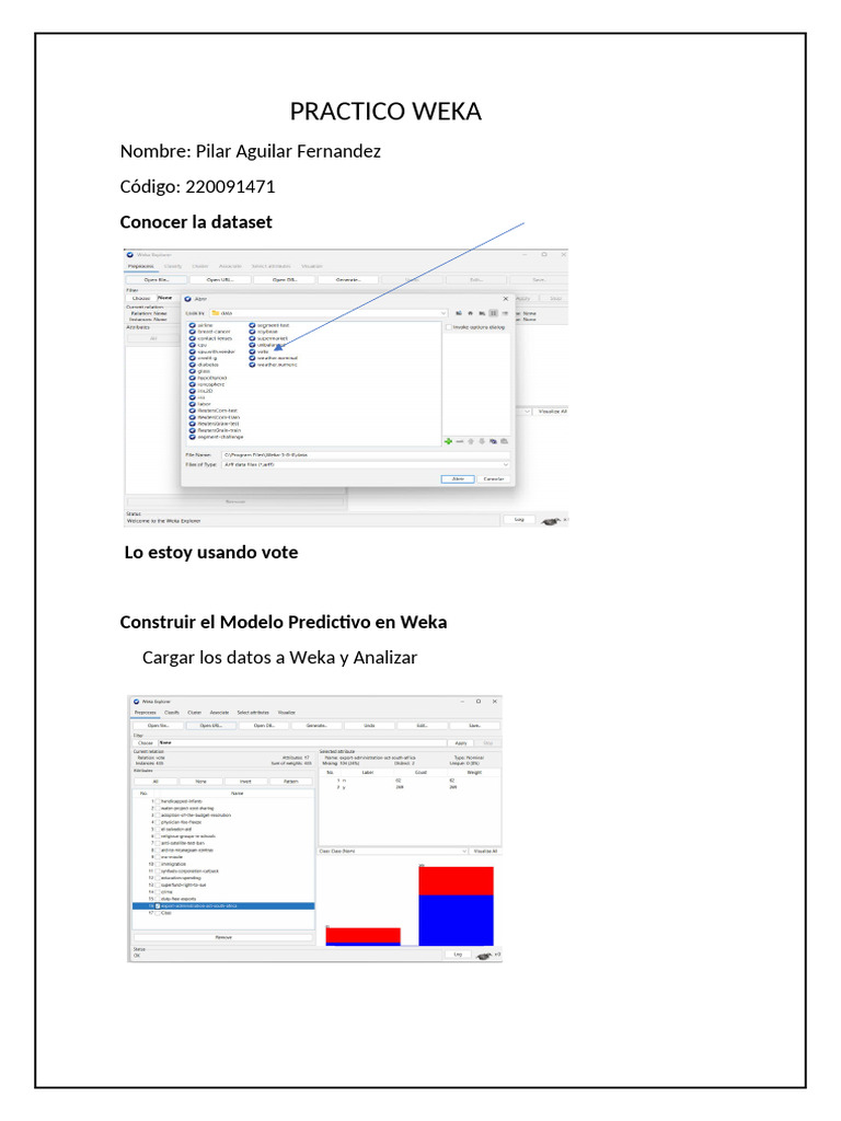 Practico Weka | PDF