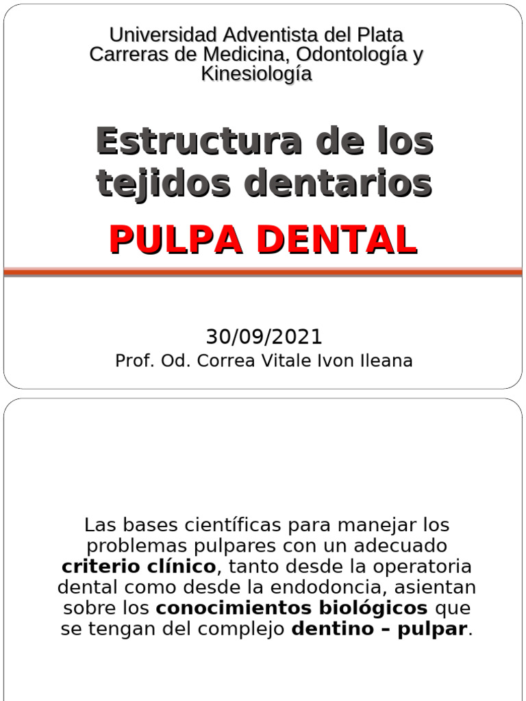 Pulpa 1 | PDF | Inflamación | Macrófago