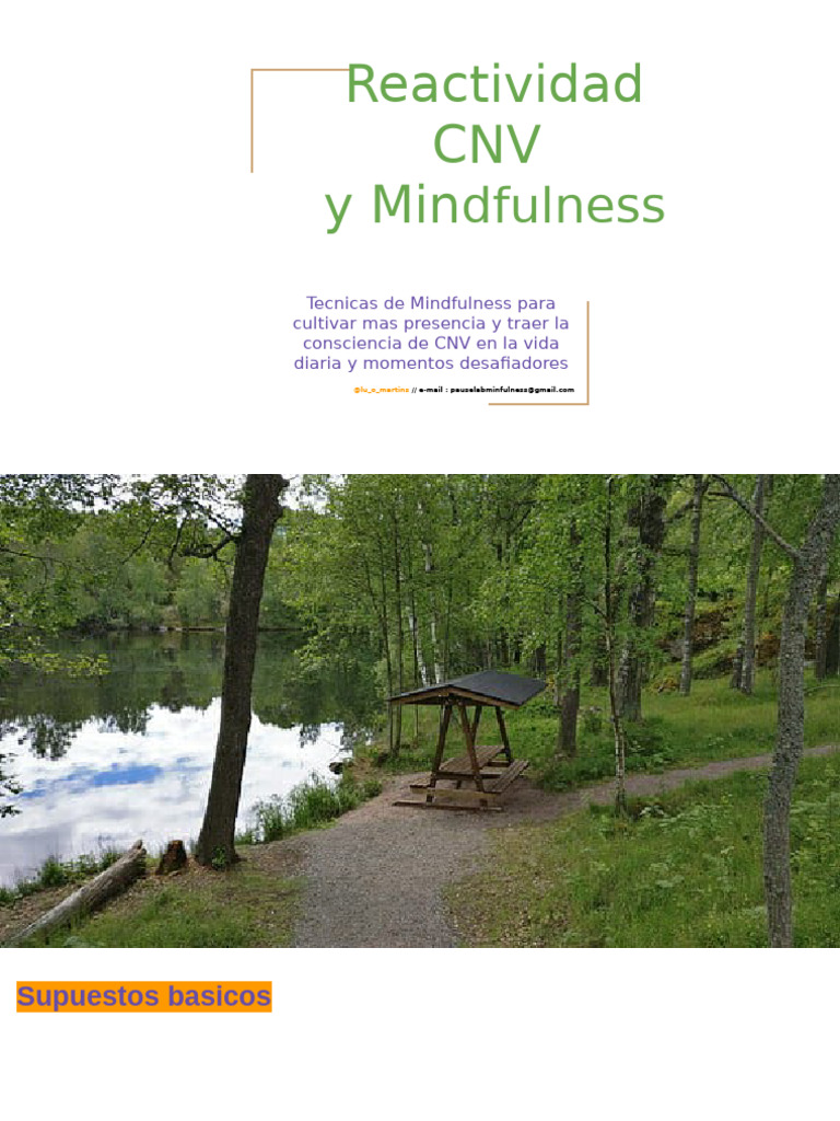 Reactividad CNV y Mindfulness - Viviendo CNV | PDF