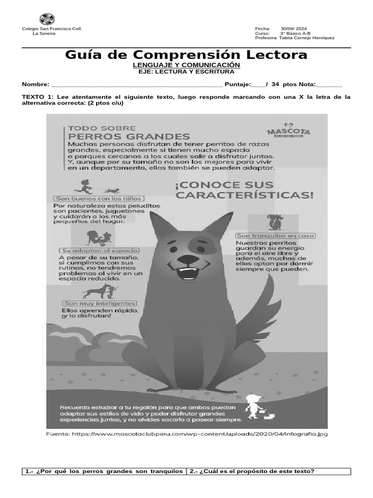 Guia de Comprension Lectora Septiembre | PDF