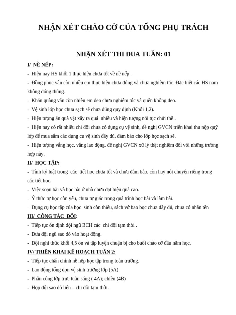 (123doc) Mau Nhan Xet Chao Co Cua Tong Phu Trach Doi | PDF