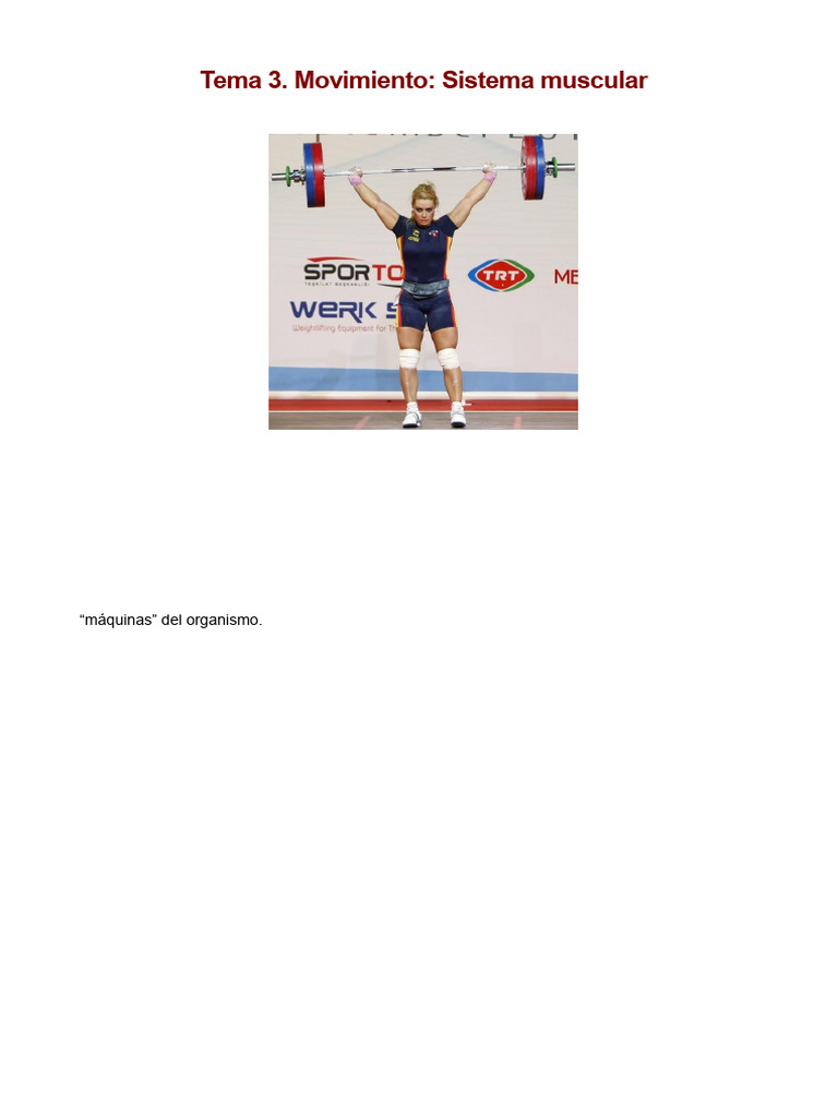 Tema 3 El Movimiento - Sistema Muscular | PDF