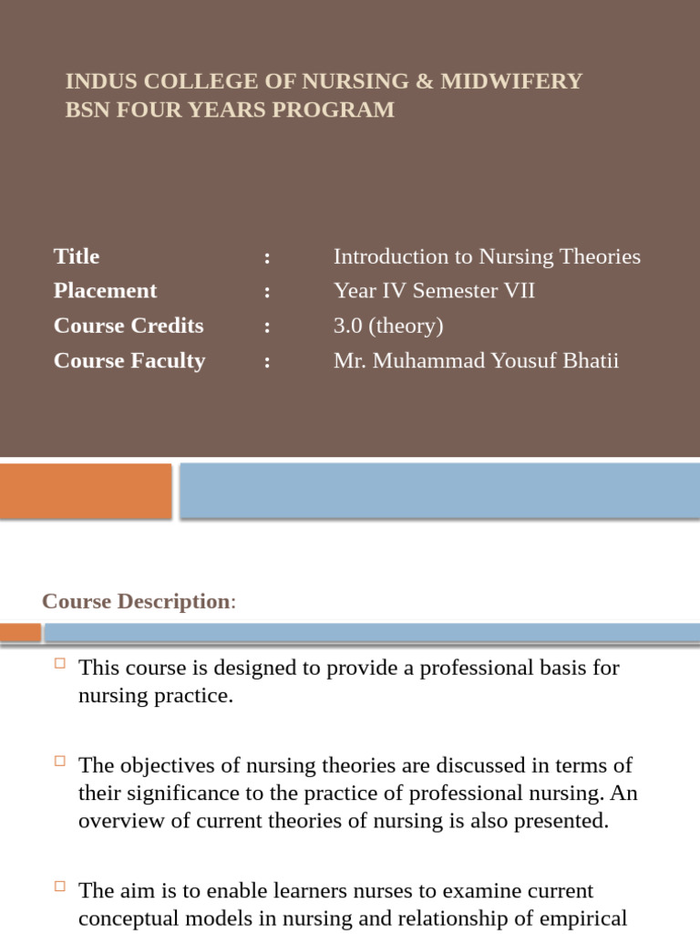 Introduction To Nursing Theories 12 | PDF
