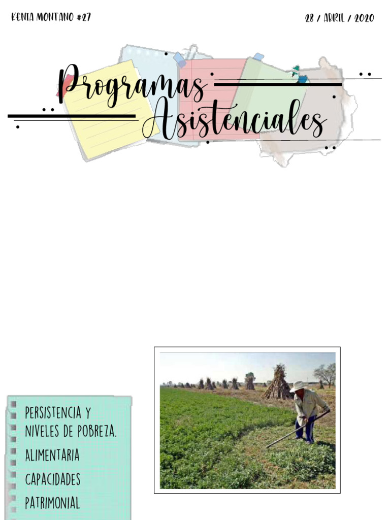 Programas Asistenciales | PDF