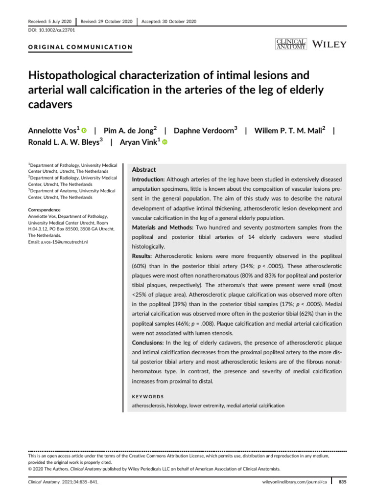 Histopathological Characterization of Intimal Lesions and Arterial Wall ...