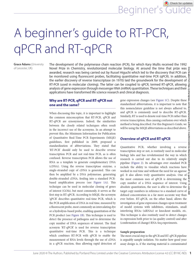 A Beginners Guide To RT-PCR QPCR and RT-QPCR | PDF