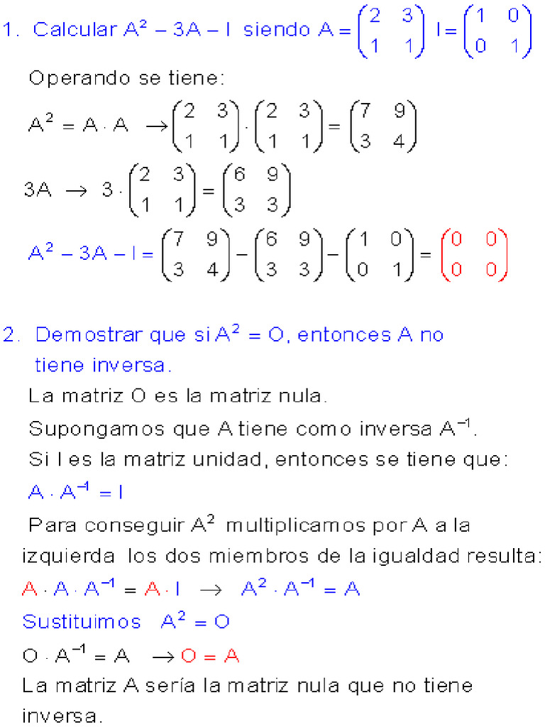 Ejercicios Matrices 1 | PDF