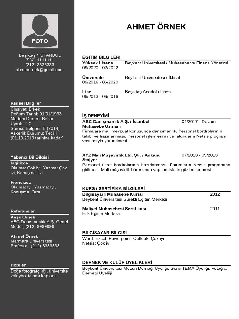 Ornek CV 2 | PDF