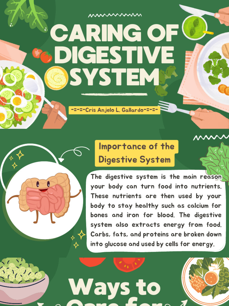 Caring For The Digestive System | PDF