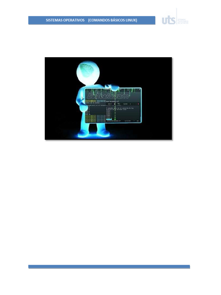 14 Comandos Básicos Linux | PDF