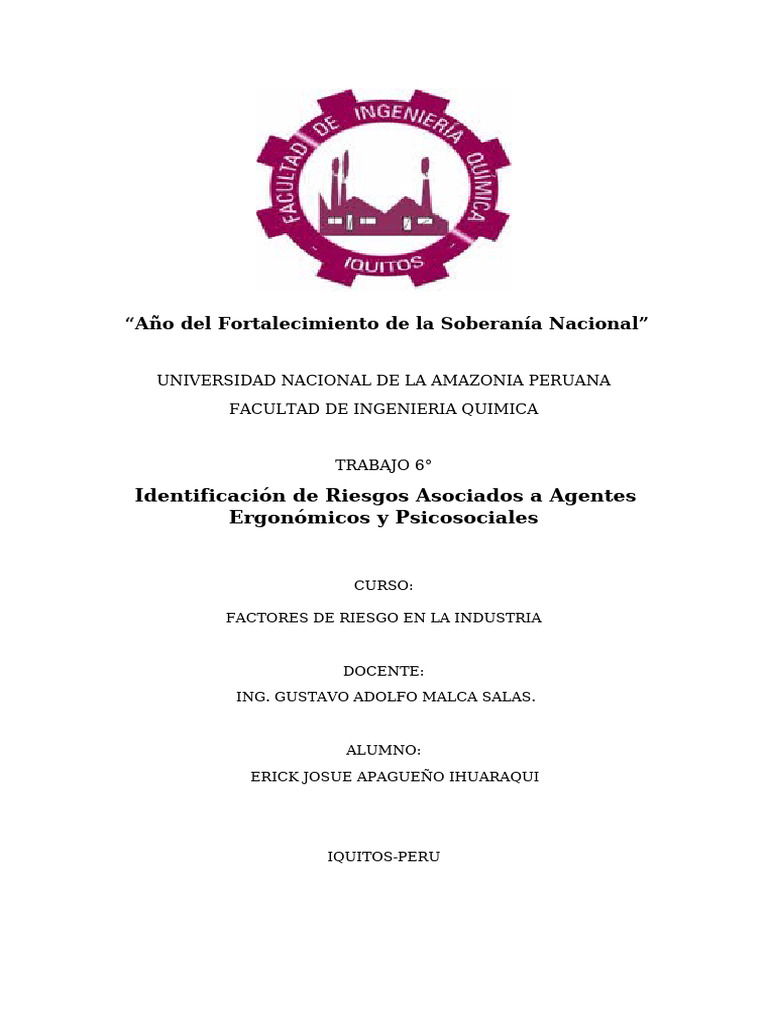 T6 - Factor de Riesgo | PDF