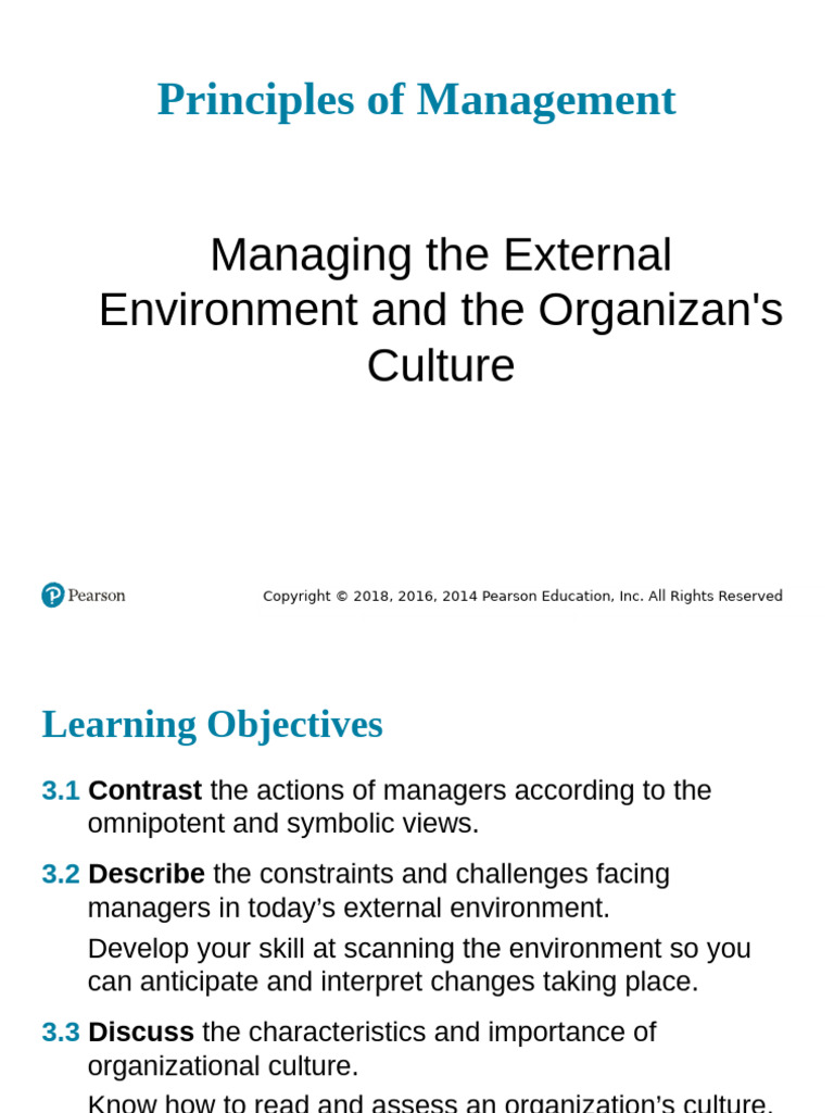 Lecture Slides (Managing The External Environment and Organizan's ...