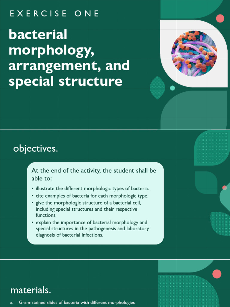 Lab Exercise 1 & 2 | PDF