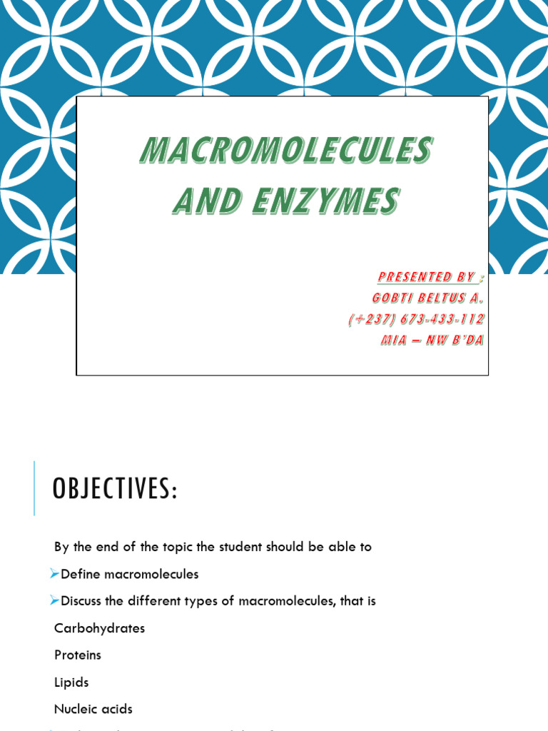 Overview of Macromolecules and Enzymes | PDF | Rna | Carbohydrates