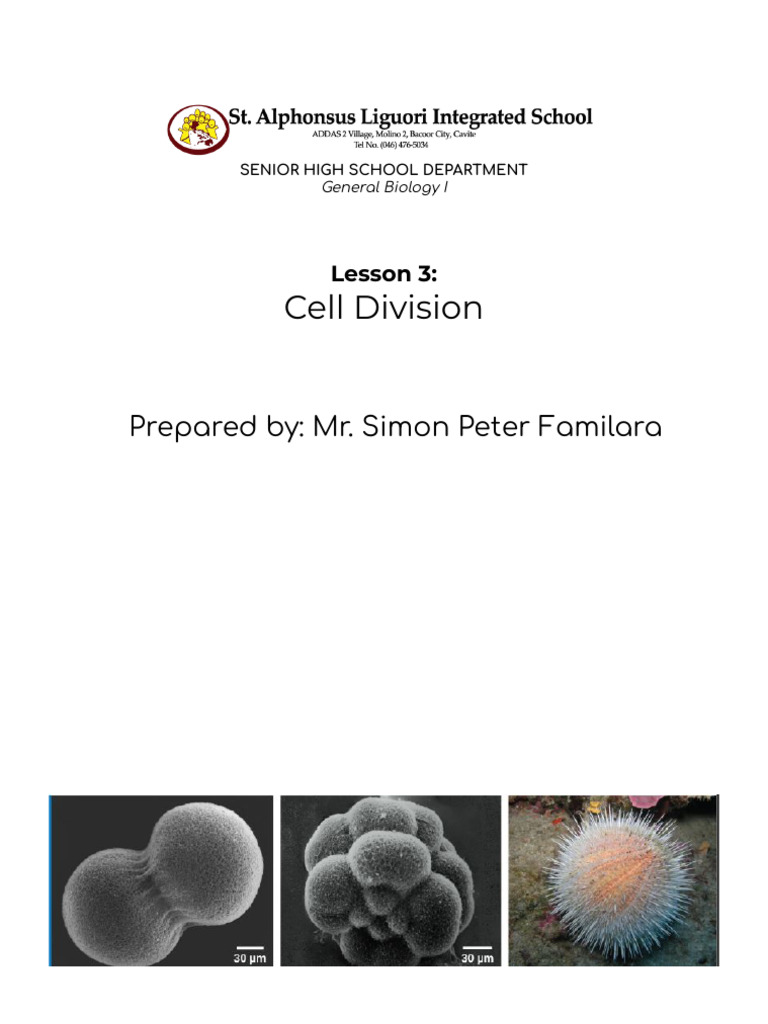 Lesson 3: Cell Division PDF | PDF
