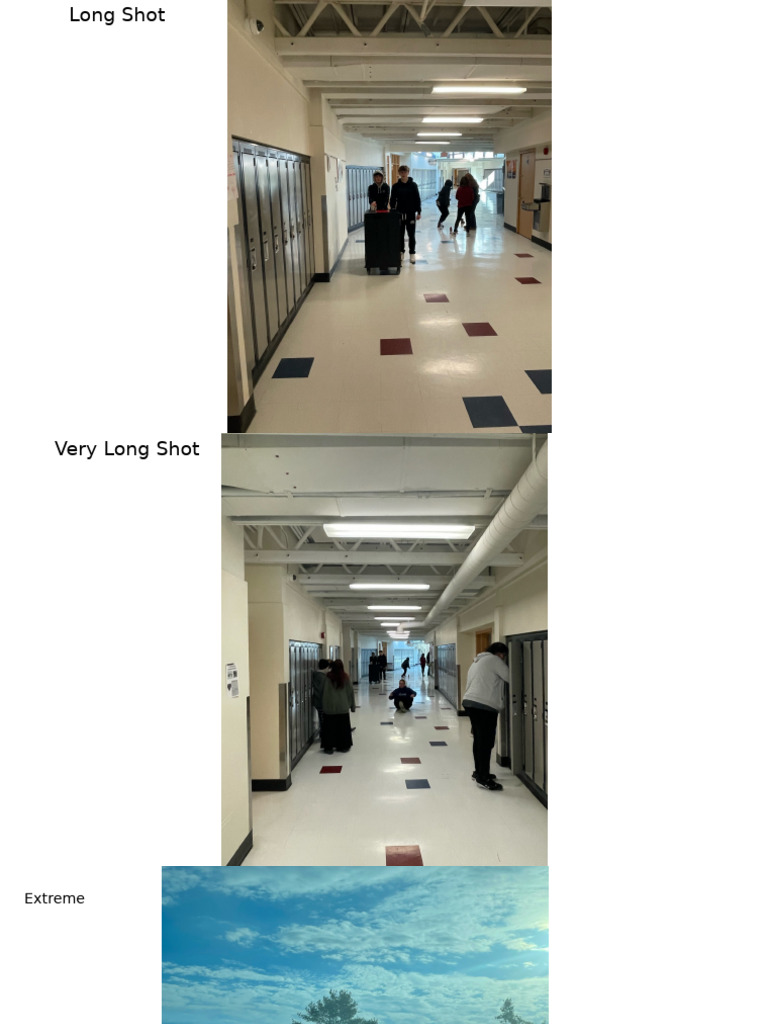 Shot Types | PDF