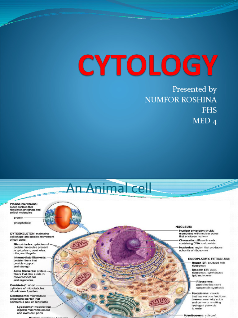 Cytology PDF | PDF