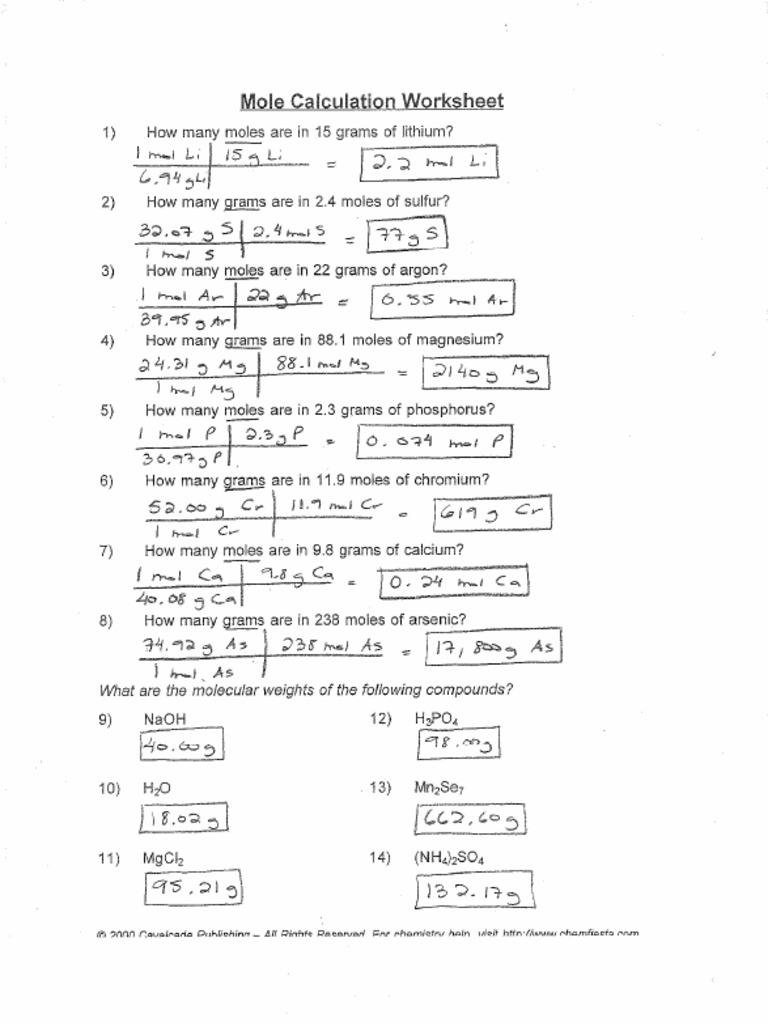 Mole Calculation WS | PDF
